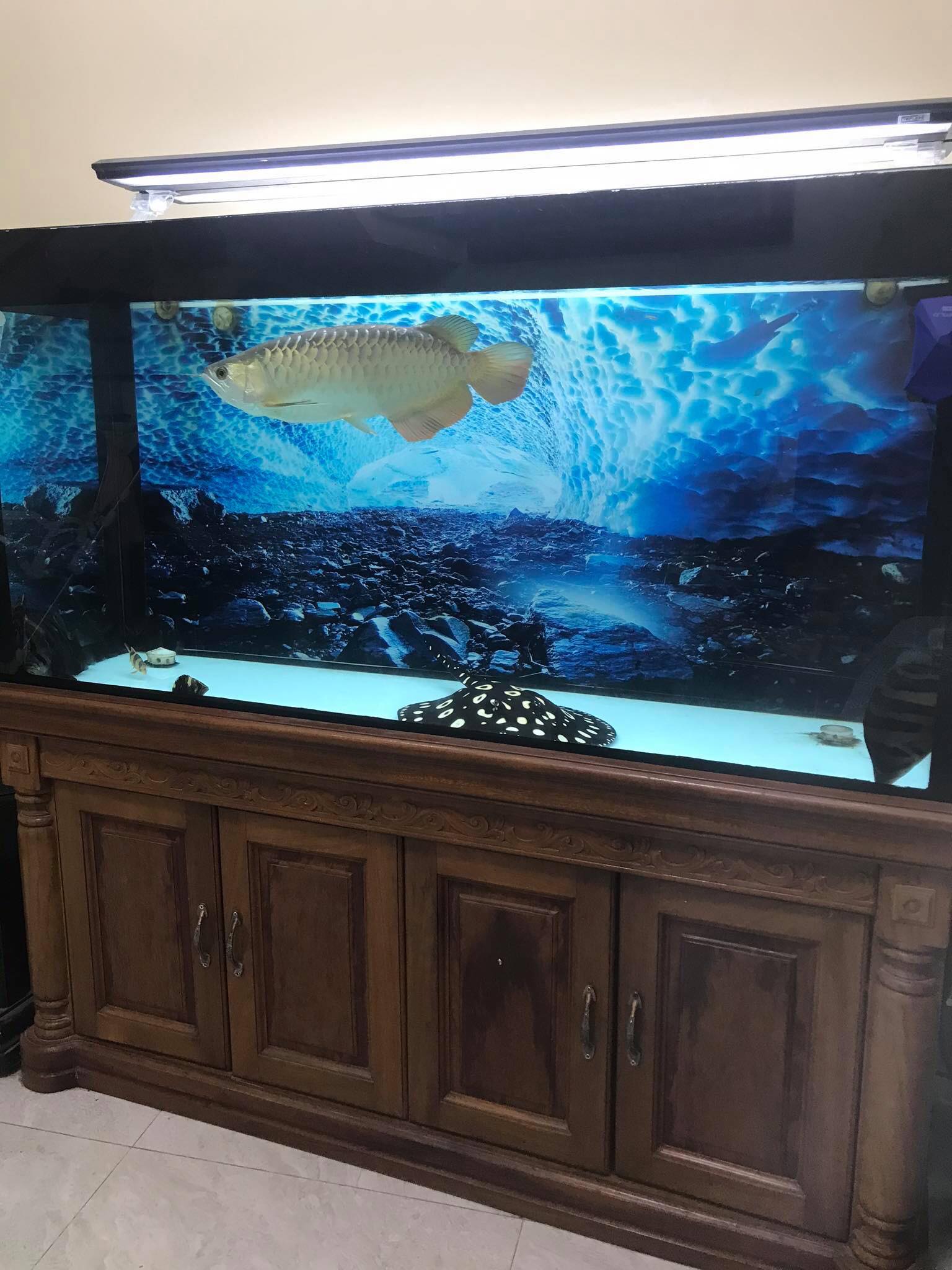 Chia sẻ kinh nghiệm nuôi cá sam đạt hiệu quả chất lượng cao - Thủy Hải ...