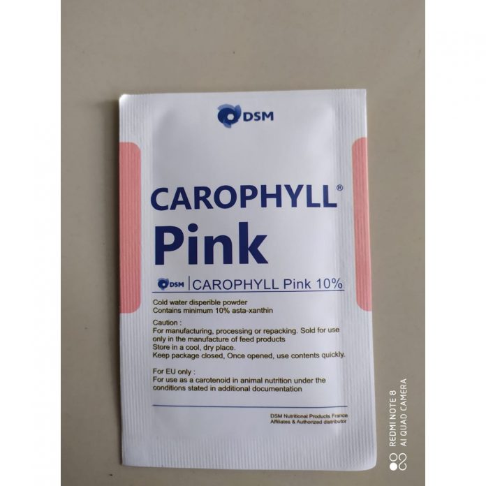 Vị cứu tinh khi nuôi cá cảnh "thuốc kích đầu cho cá la hán Carophyll ...